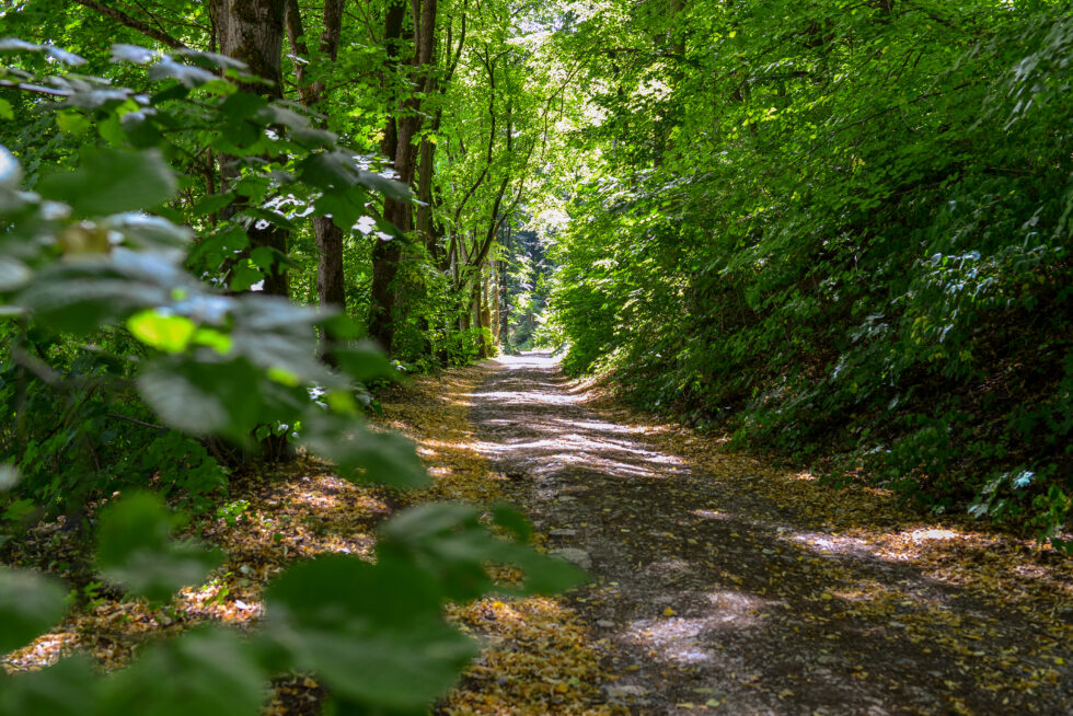 themar.de – Idyllisches Städtchen im Werratal